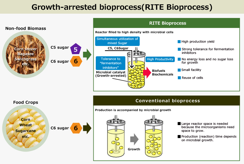 Green Earth Institute